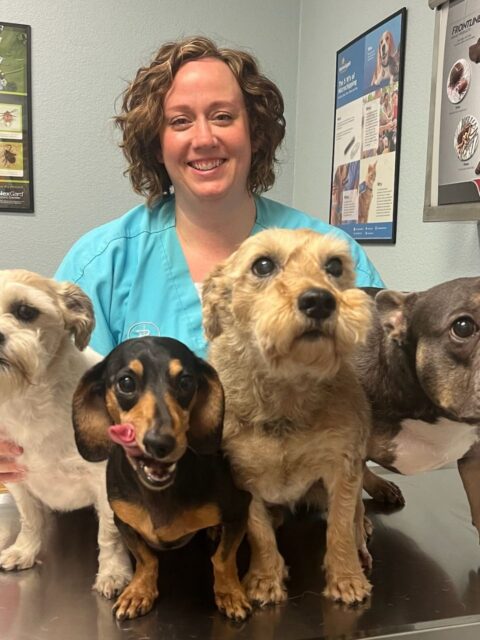 Veterinarian In Clarks Grove, MN 56016 | Clarks Grove Veterinary Clinic
